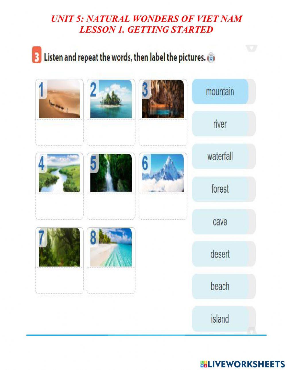 Unit 5. gs worksheet | Live Worksheets