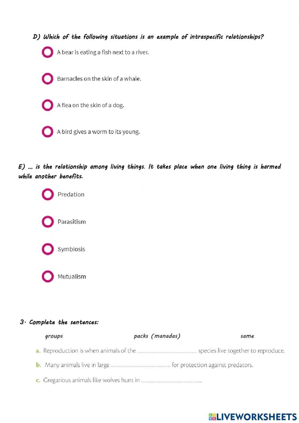 5. Relationship… | Free Interactive Worksheets | 6797933