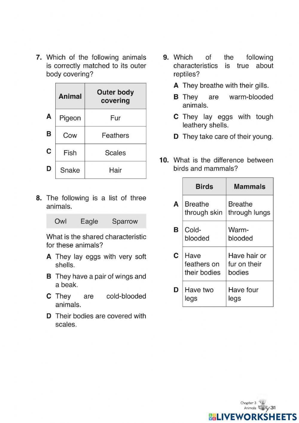 Test Science Chapter 3 P.4-EIS online exercise for | Live Worksheets