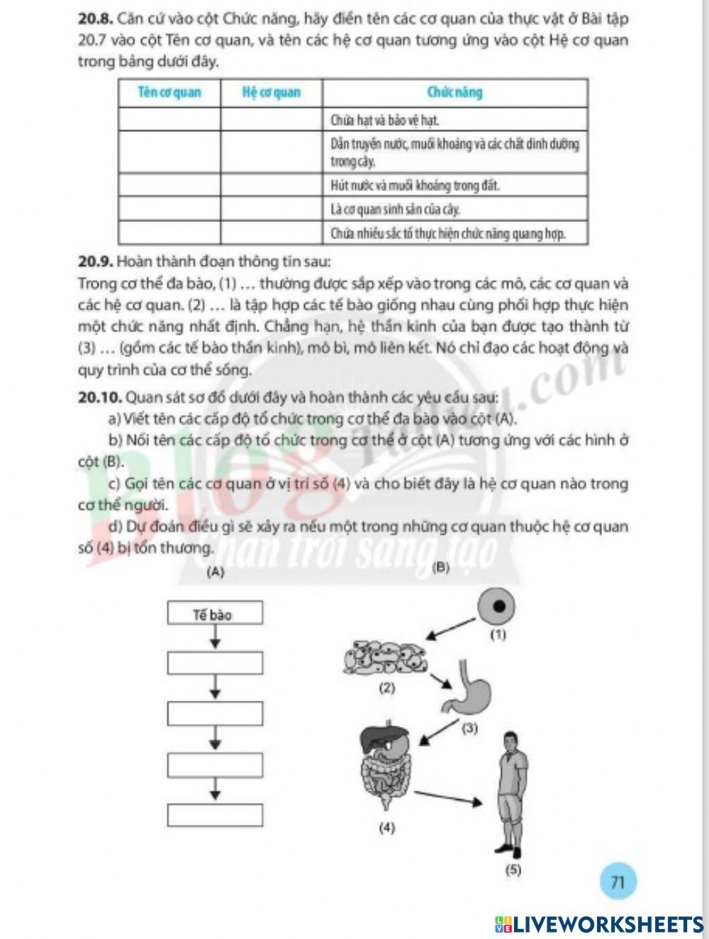 Khtn interactive activity | Live Worksheets