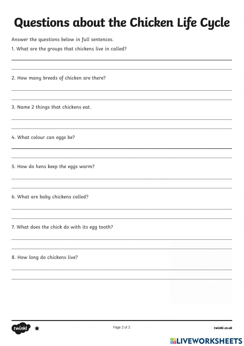 Chicken Life Cycle online exercise for | Live Worksheets