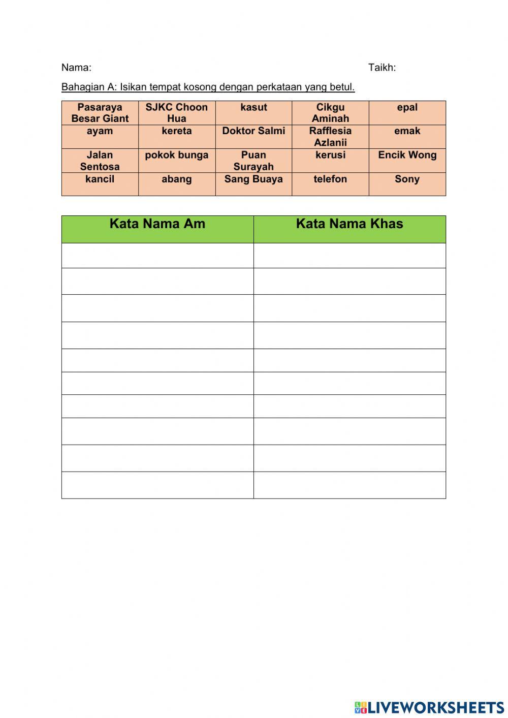 Kata Nama Khas dan Kata Nama Am worksheet | Live Worksheets