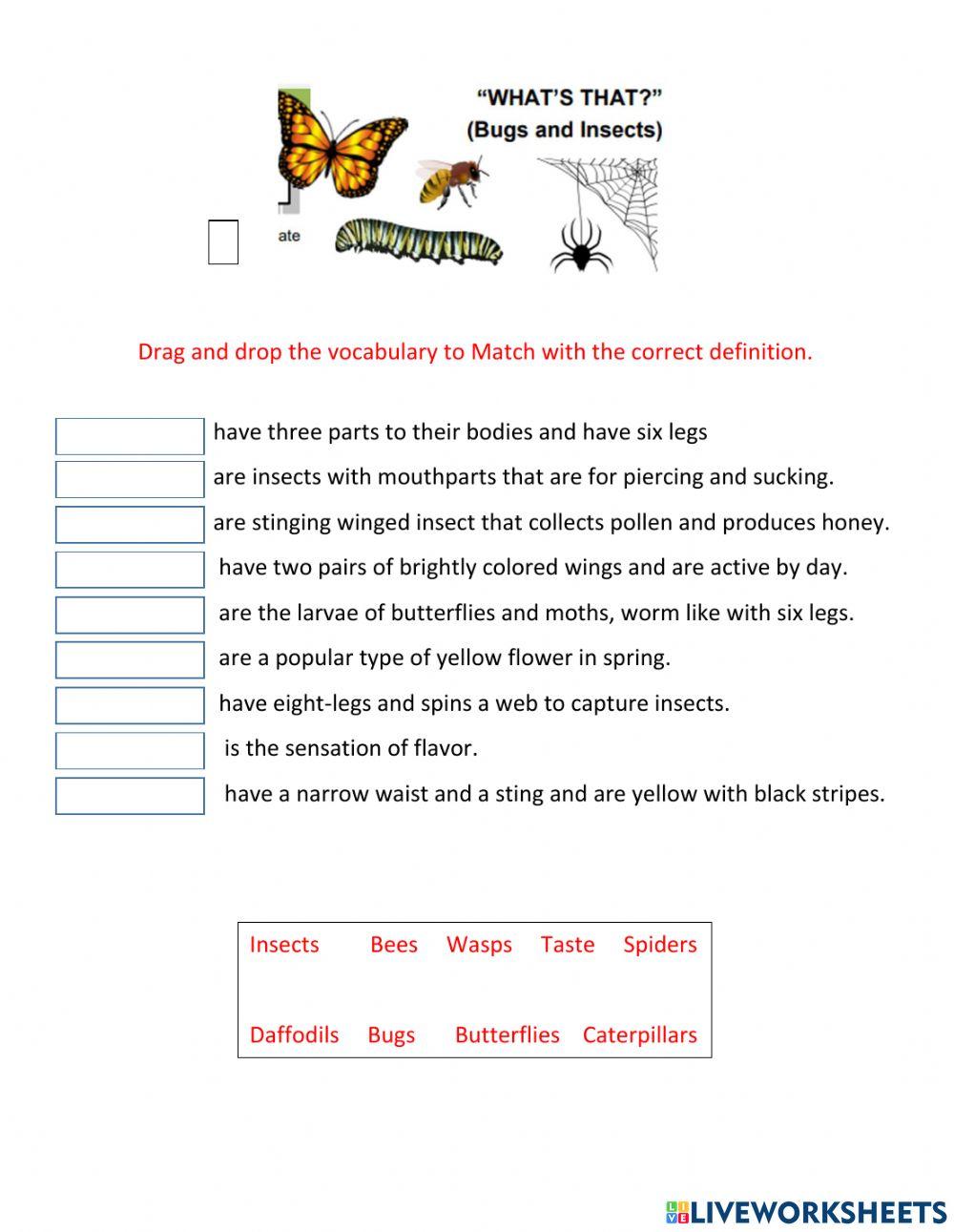 A2 B1 Bugs and Insects online exercise for | Live Worksheets