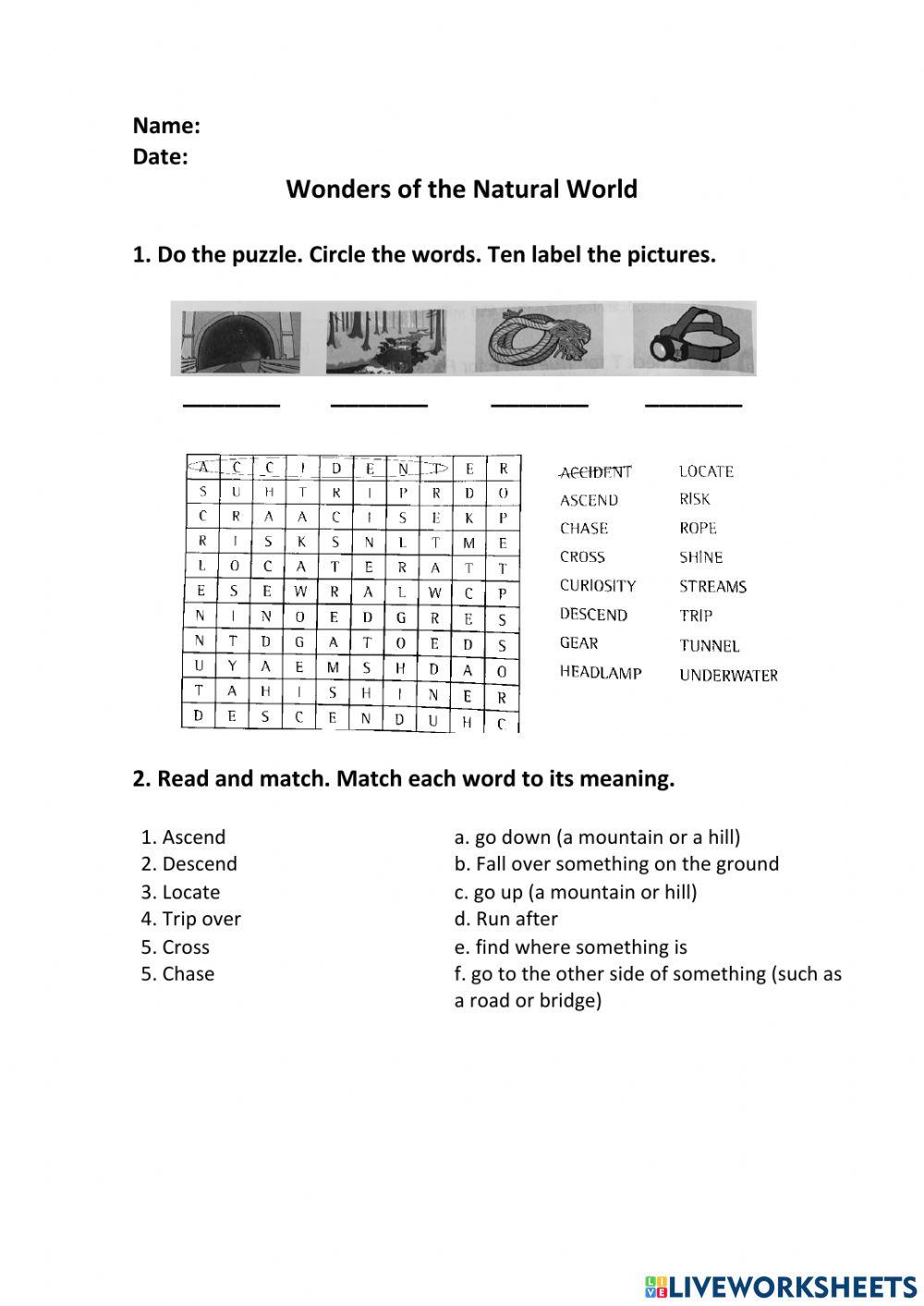 3509244 | wonder of natural world | dsiavichay99