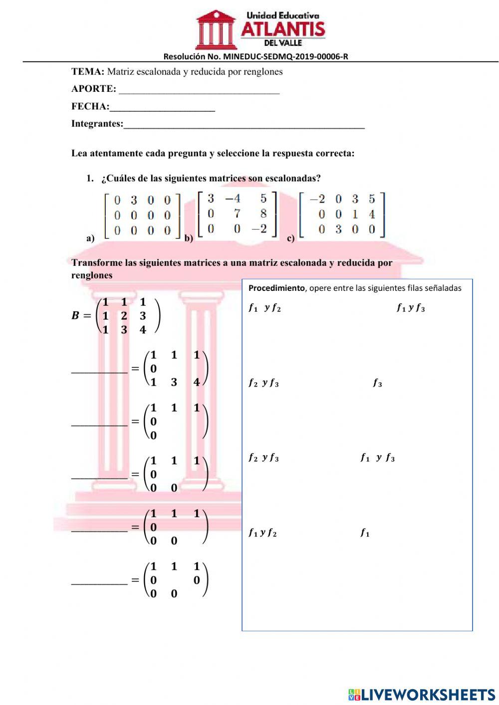 Matrices online worksheet | Live Worksheets