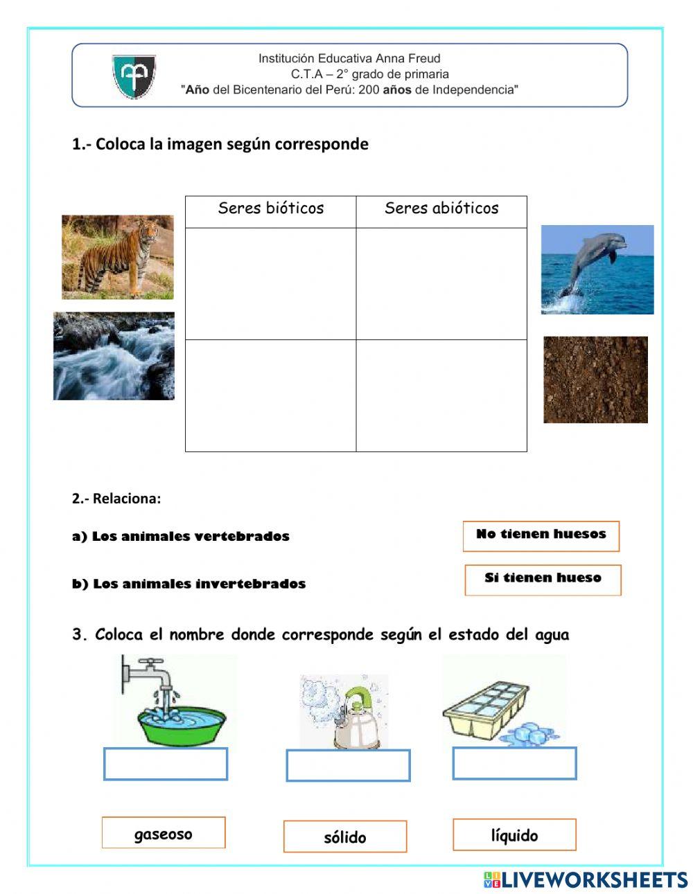 Examen del área de cta 1733717 | Mary Vargas