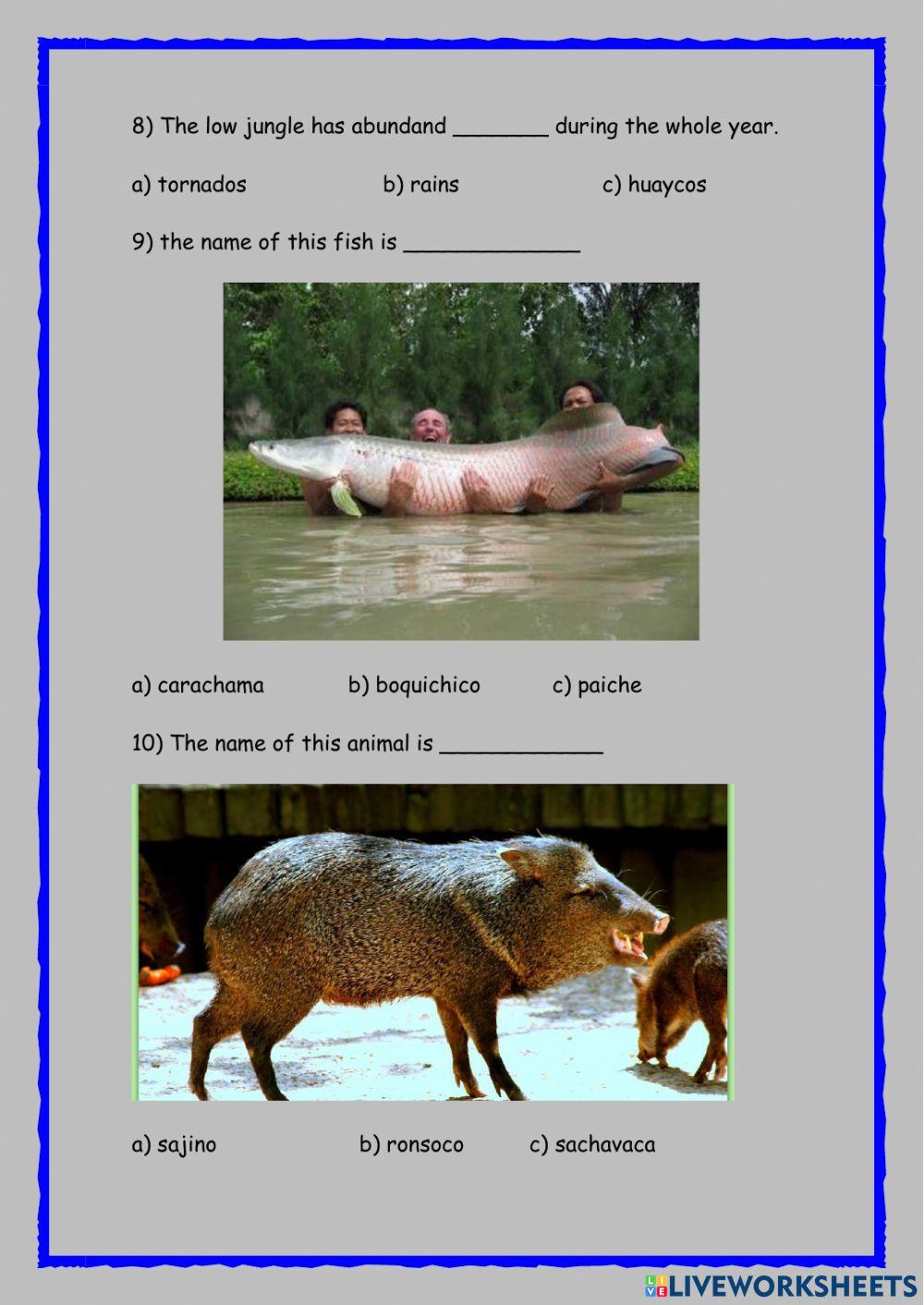 Geography quiz | Live Worksheets