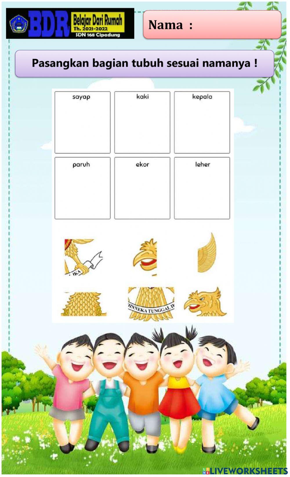 PKn | Free Interactive Worksheets | 1734241