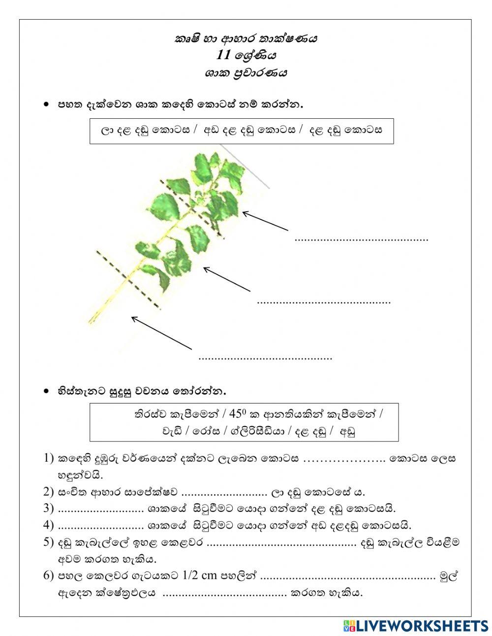 paper online exercise for | Live Worksheets
