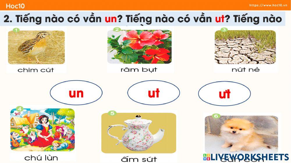 Un-ut-ưt worksheet | Live Worksheets