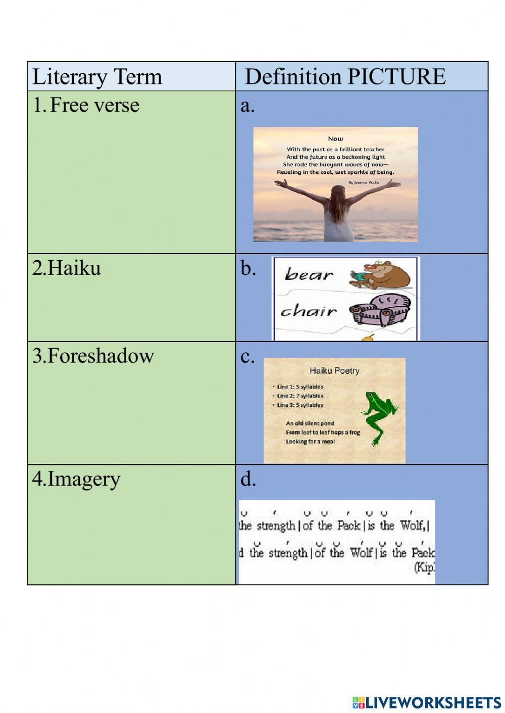 Literary Term exercise | Live Worksheets