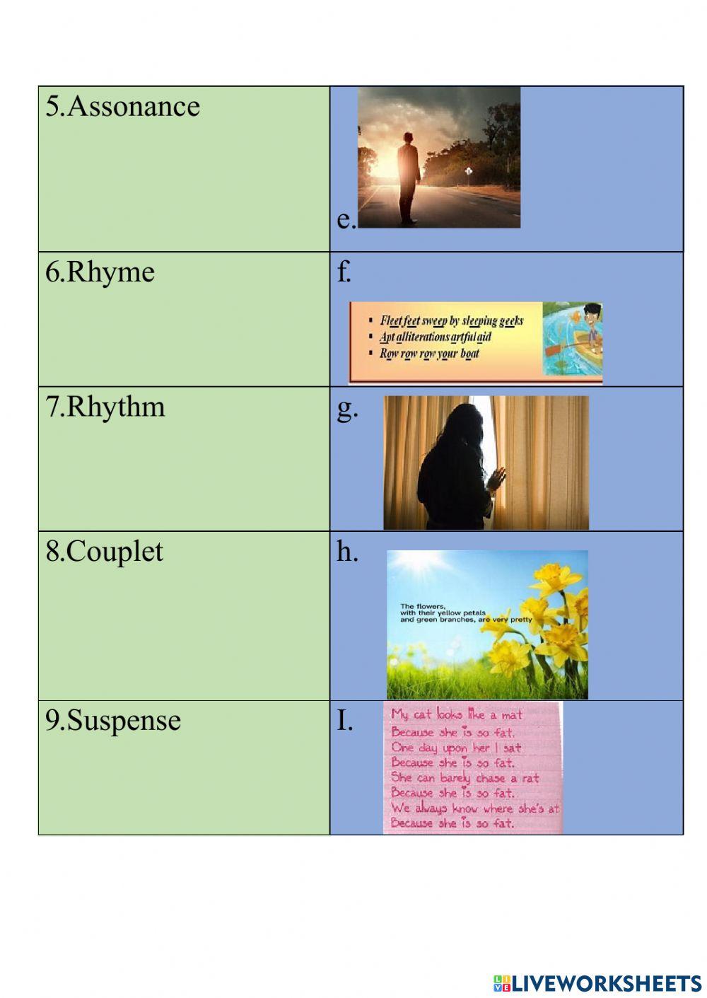 Literary Term exercise | Live Worksheets