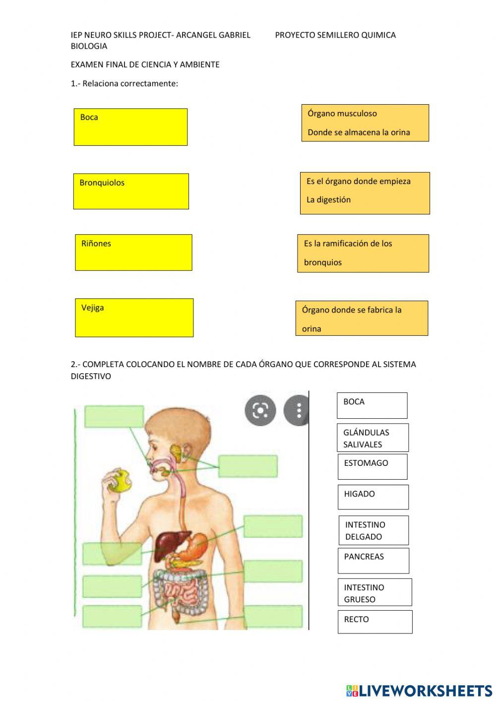 Cta interactive worksheet | Live Worksheets