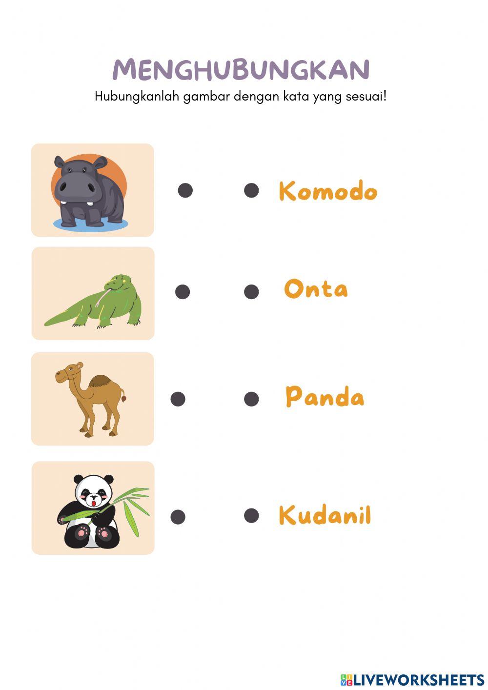 Menghubungkan binatang worksheet | Live Worksheets