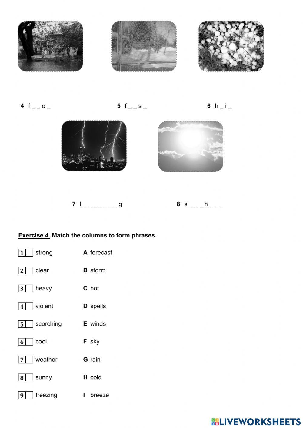 Vocab check online worksheet | Live Worksheets