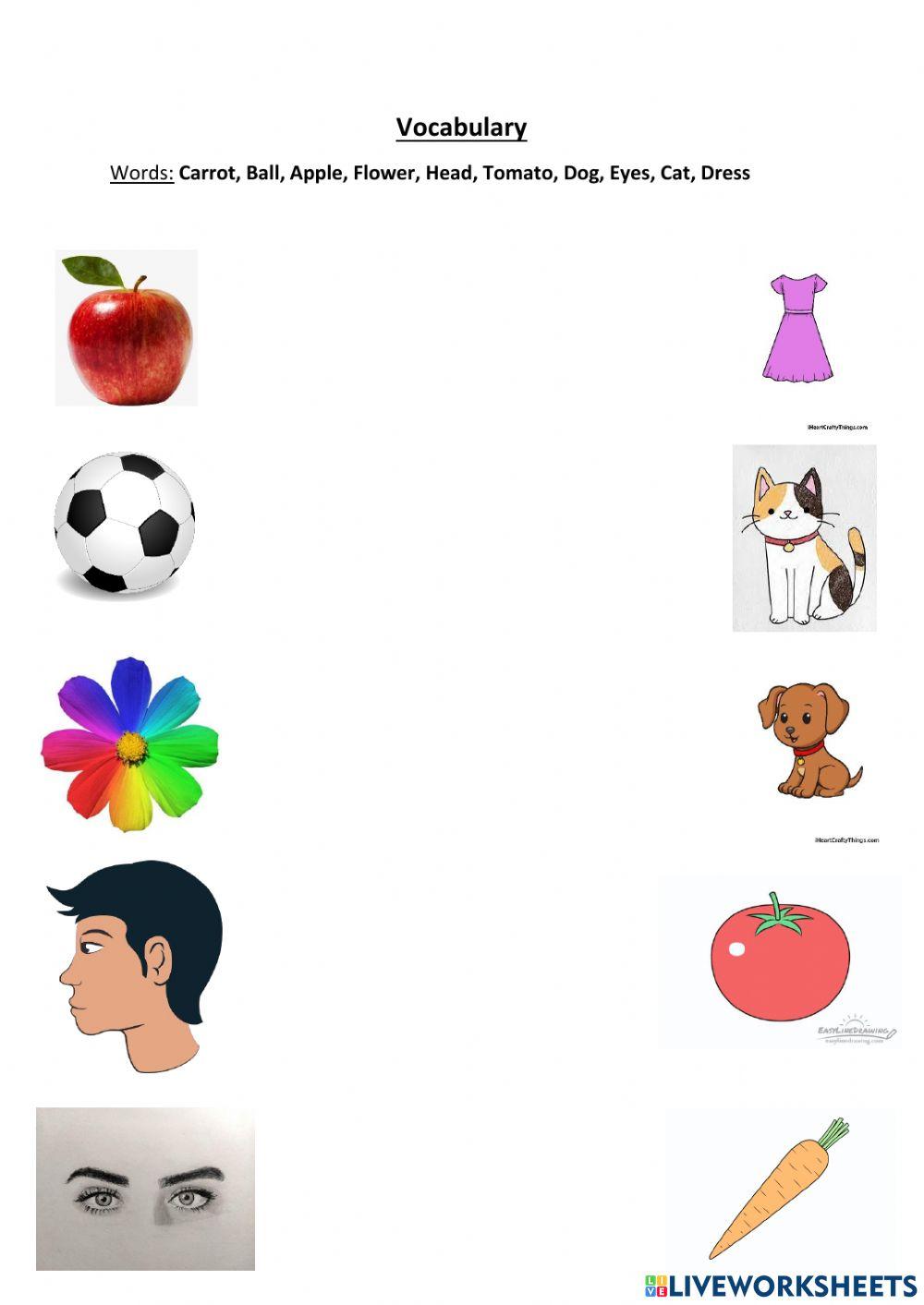 Vocabulary words online pdf worksheet | Live Worksheets