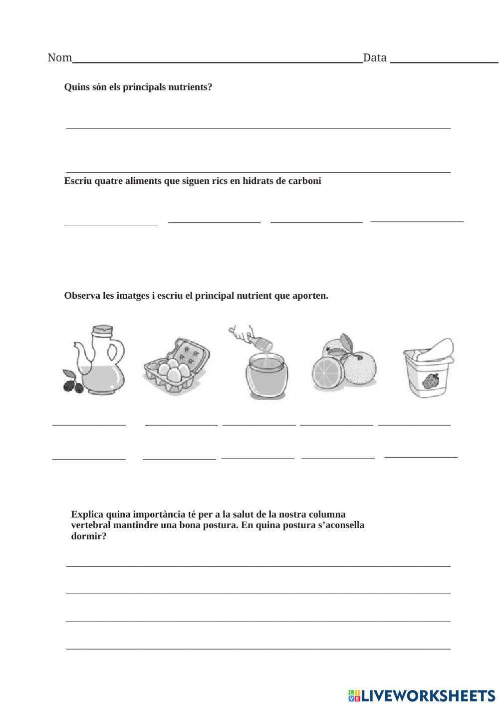 Els aliments i els seus nutrients worksheet | Live Worksheets