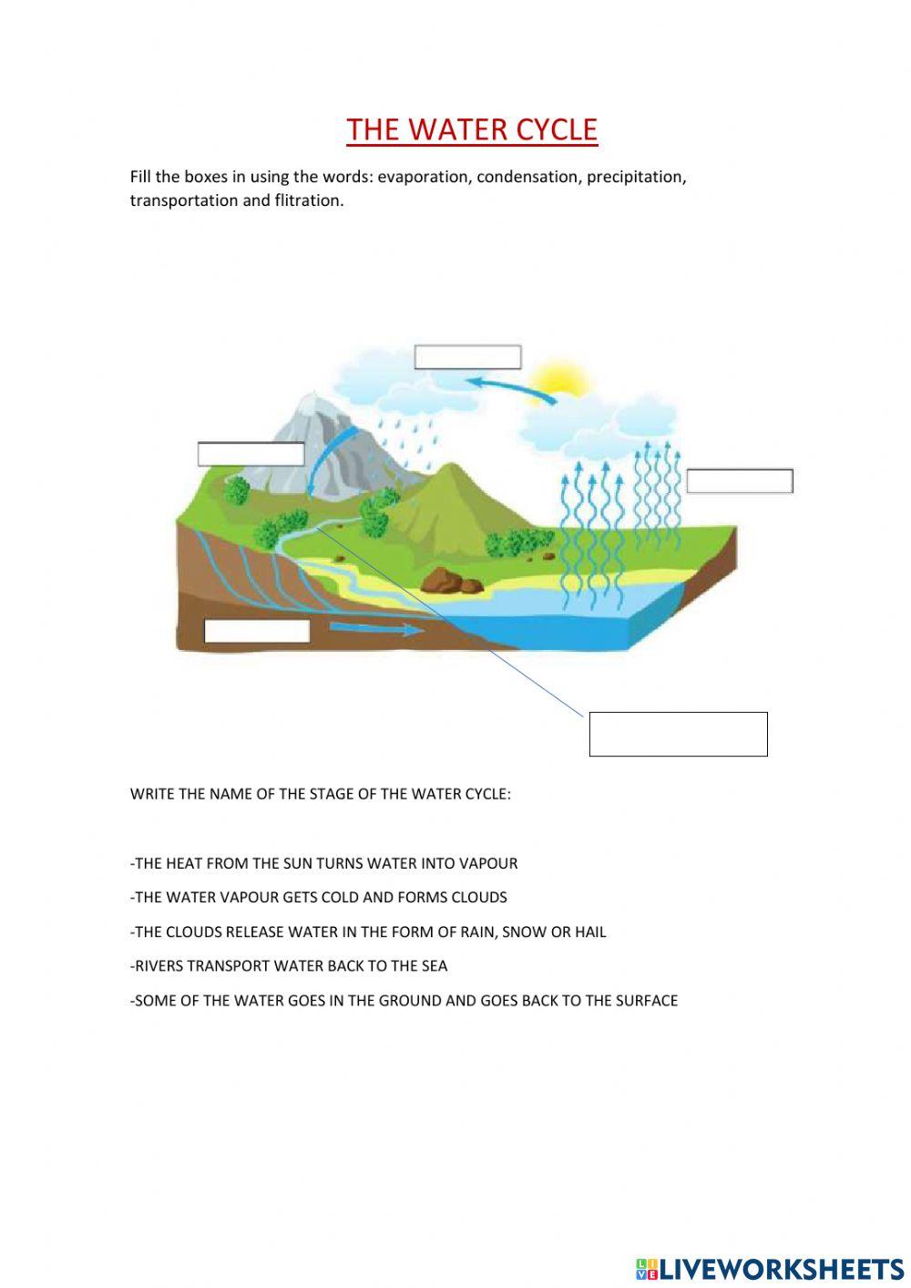 1741557 | The water cycle. | noorin1 | LiveWorksheets