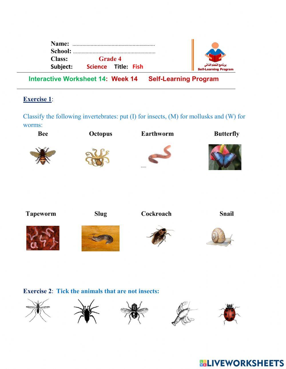 SY21-22-W14 Gr4 Sc Int. WS worksheet | Live Worksheets