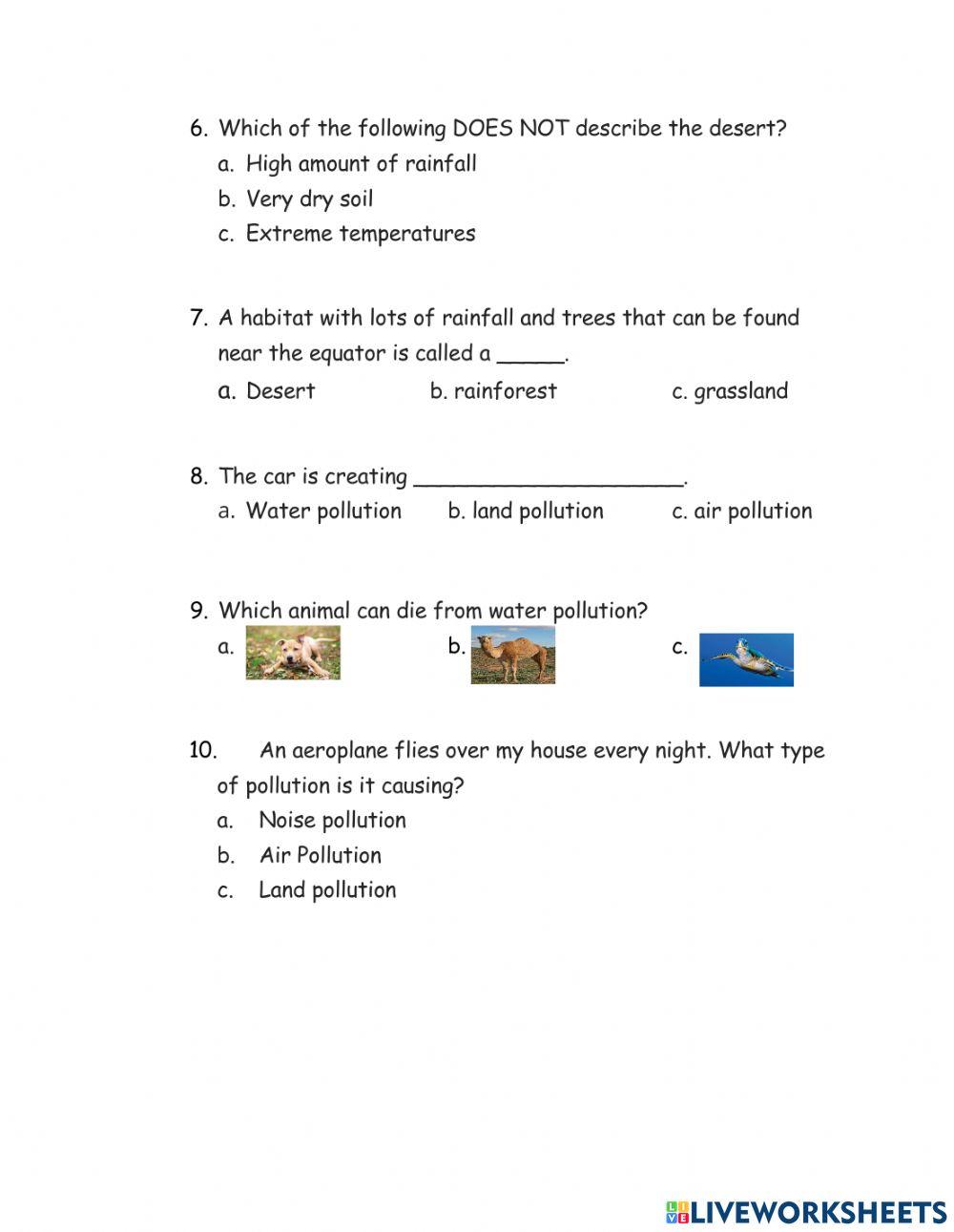 Final semester 1 science P2 worksheet | Live Worksheets