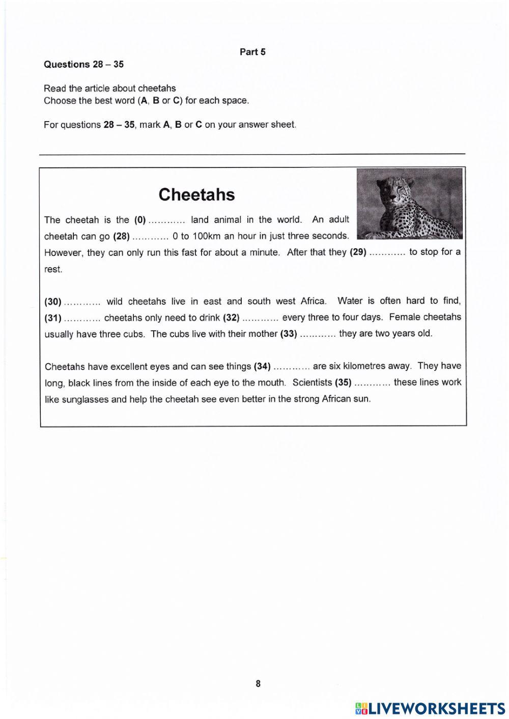 KET - Reading test online exercise for | Live Worksheets