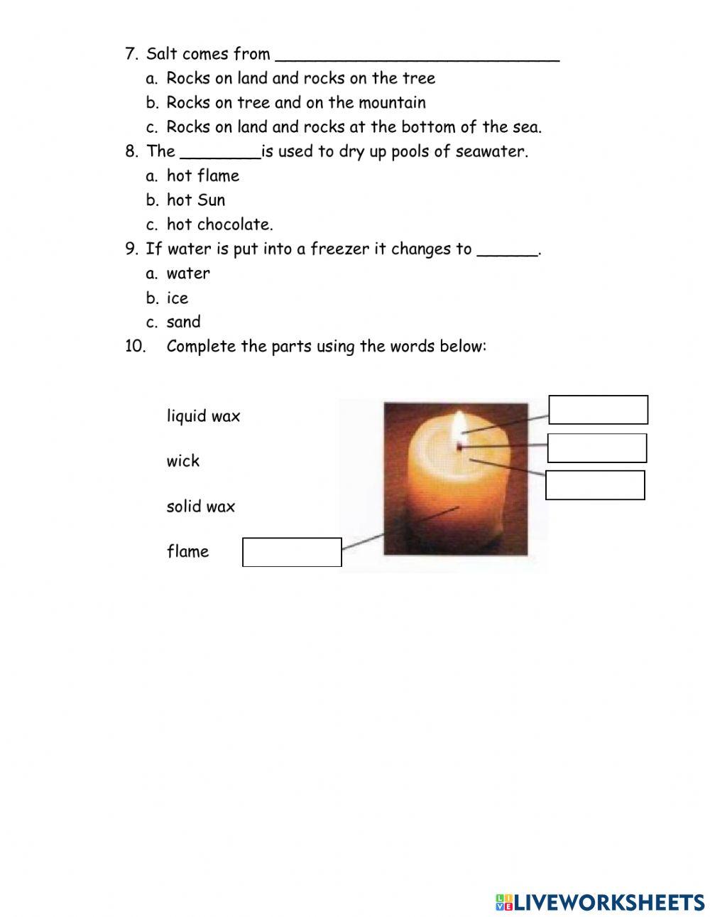 P2 Science Revi… | Free Interactive Worksheets | 1701802