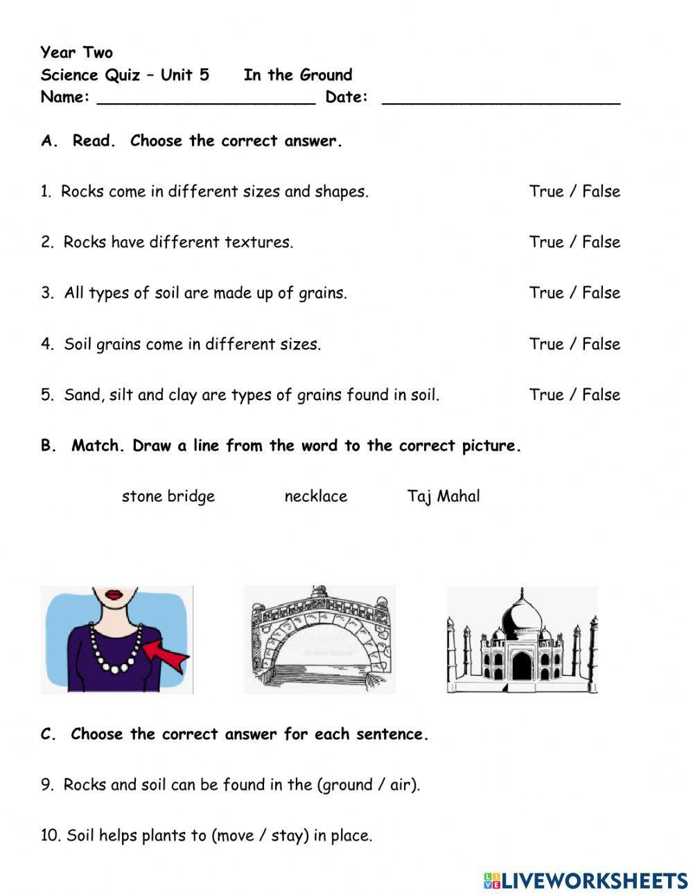 In the Ground worksheet | Live Worksheets