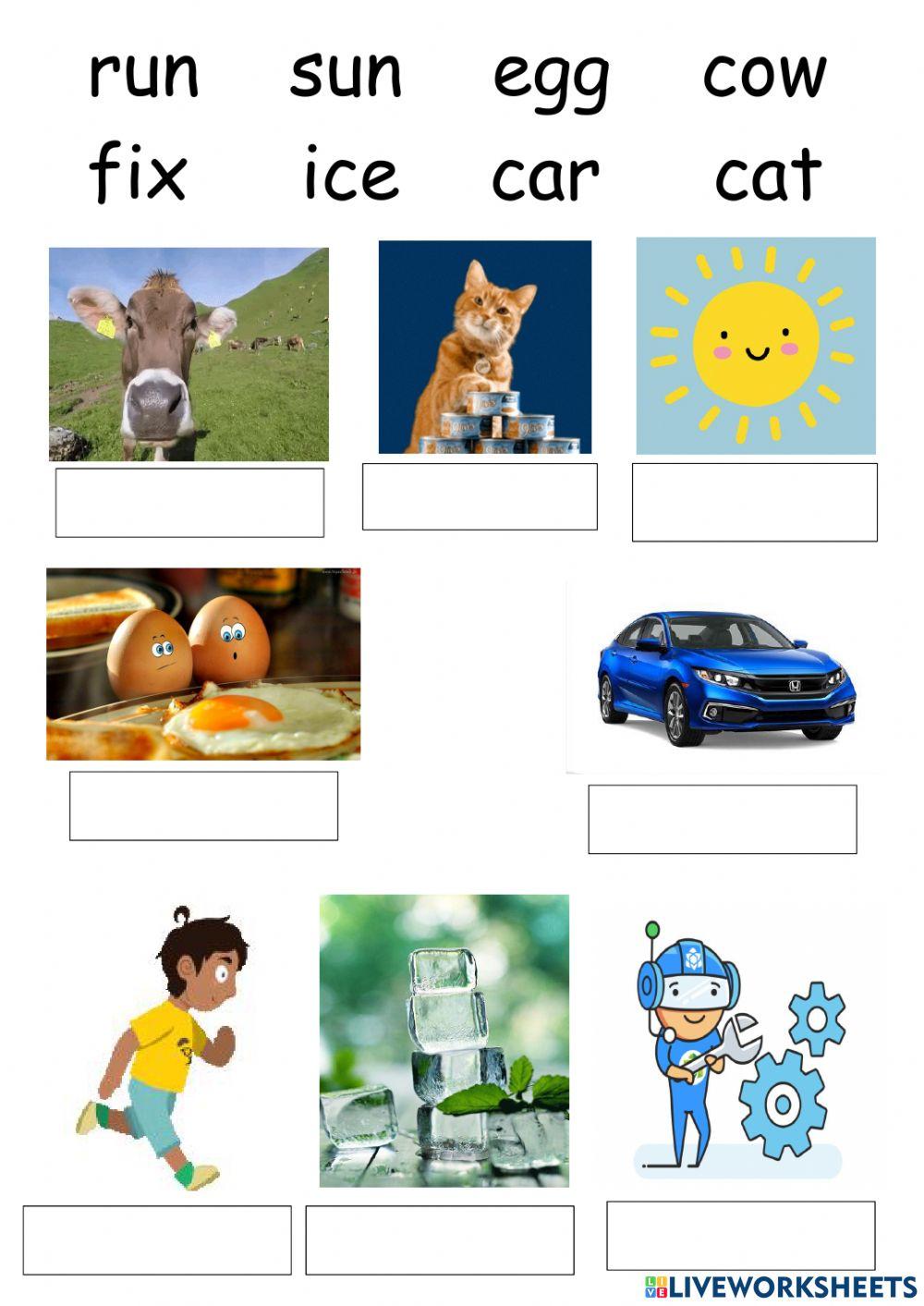 Pink level word list worksheet | Live Worksheets