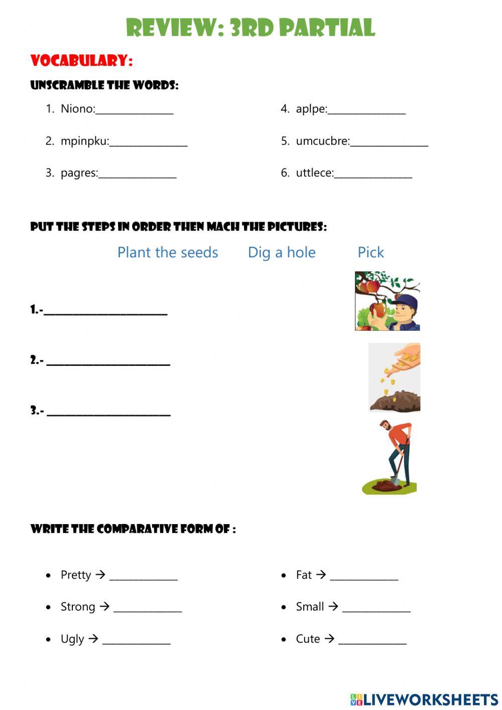 Review online exercise for 5th | Live Worksheets