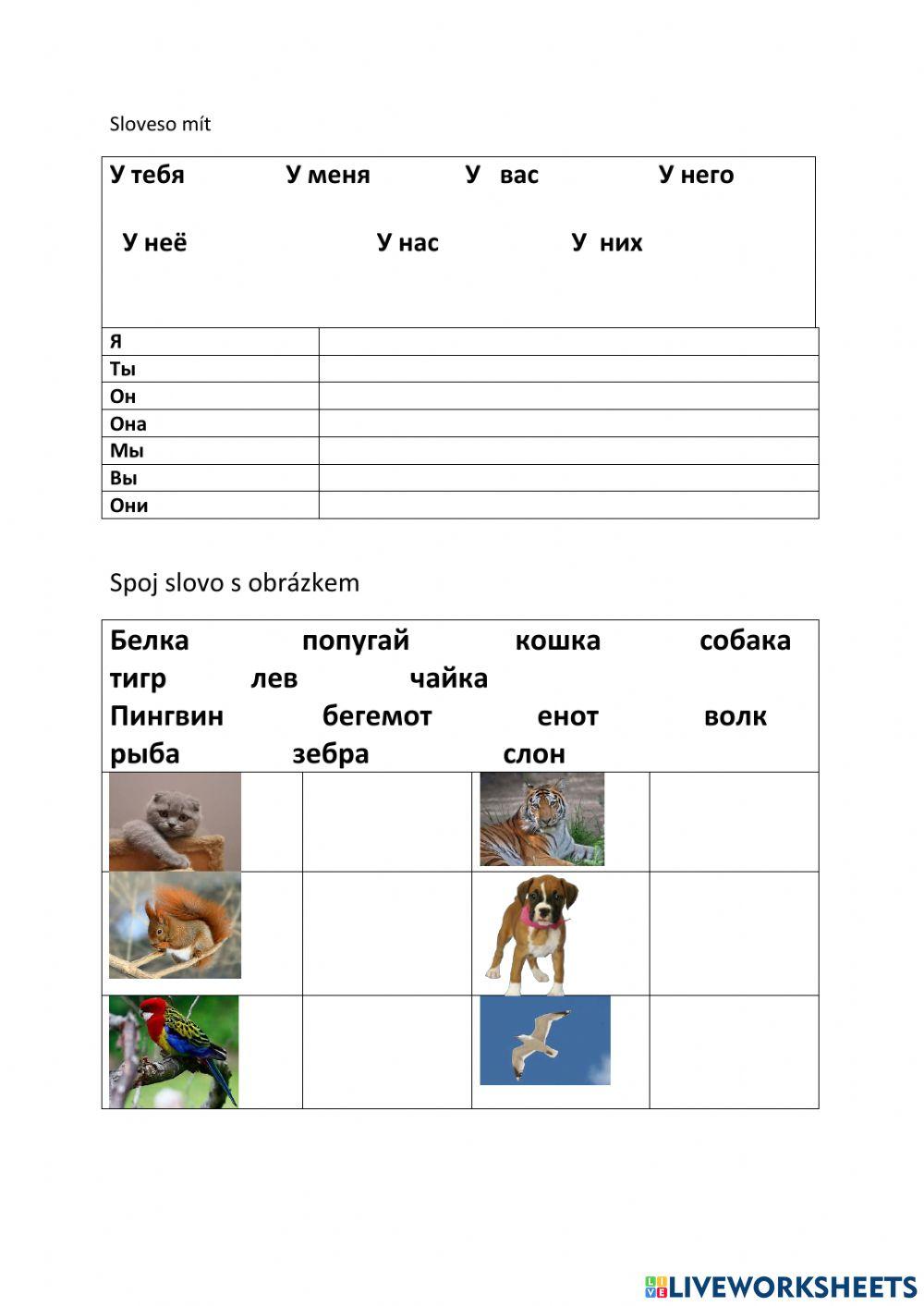 Sloveso mít, zviřata worksheet | Live Worksheets
