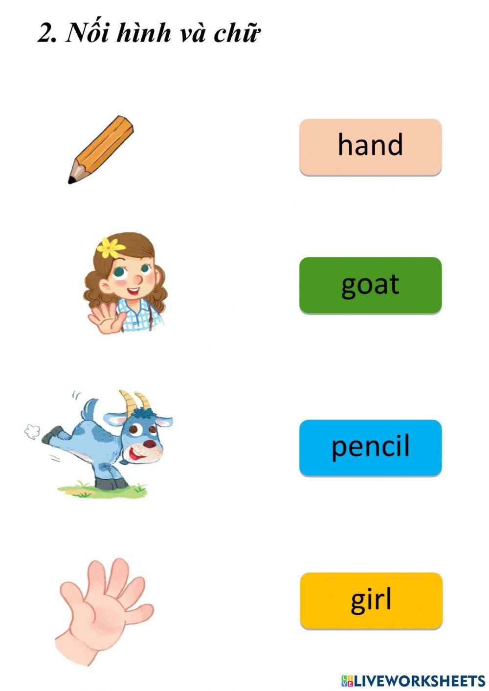 Test grade 1 interactive worksheet | Live Worksheets
