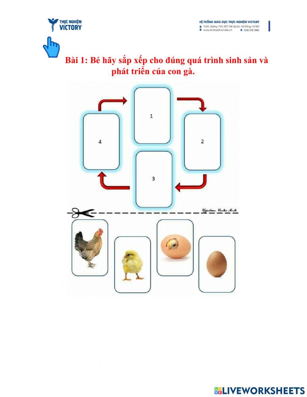 Pink science KPKH interactive exercise | Live Worksheets