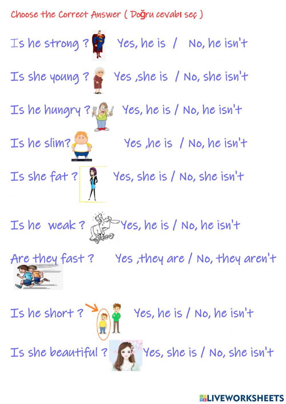 1753354 | Adjectives, short answers | Engin Ekmekci