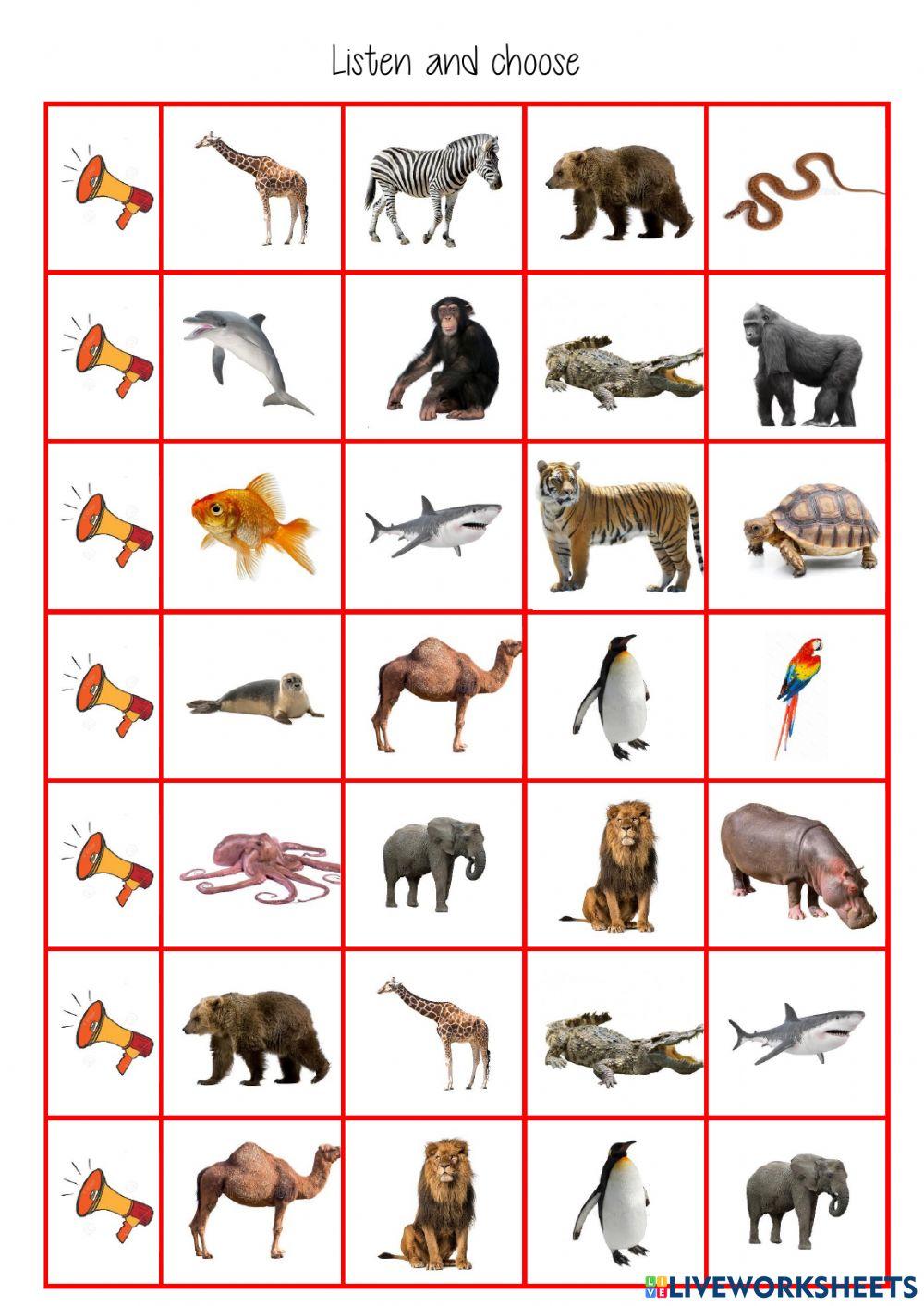 listen and choo… | Free Interactive Worksheets | 1753420