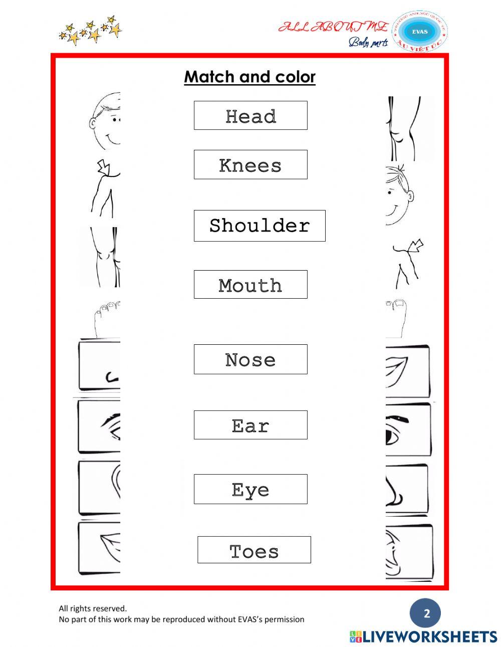 Body part superbstars lesson 1 worksheet | Live Worksheets
