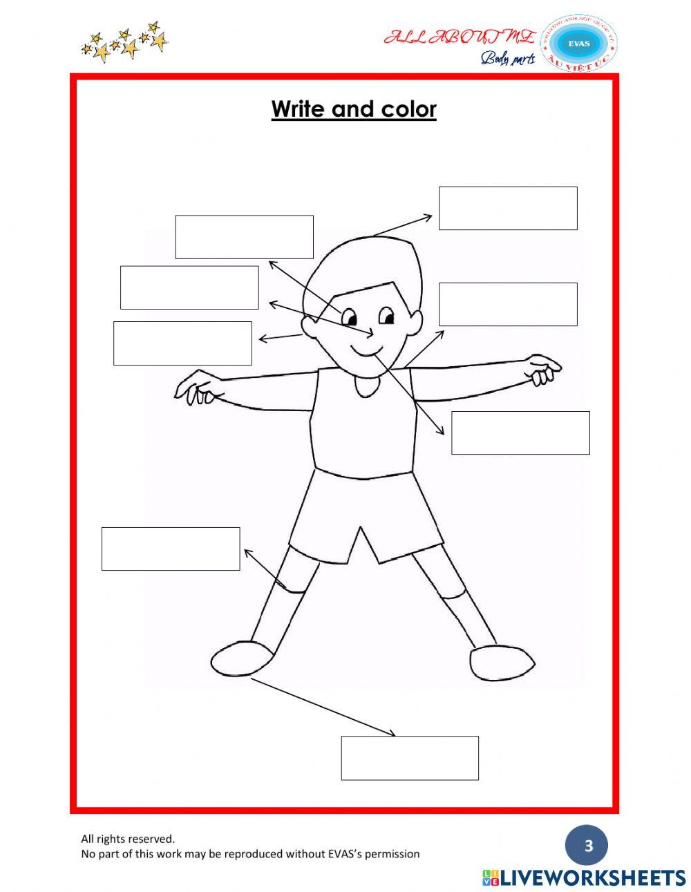 Body part superbstars lesson 1 worksheet | Live Worksheets