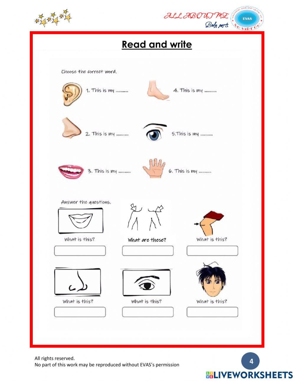 Body part superbstars lesson 1 worksheet | Live Worksheets