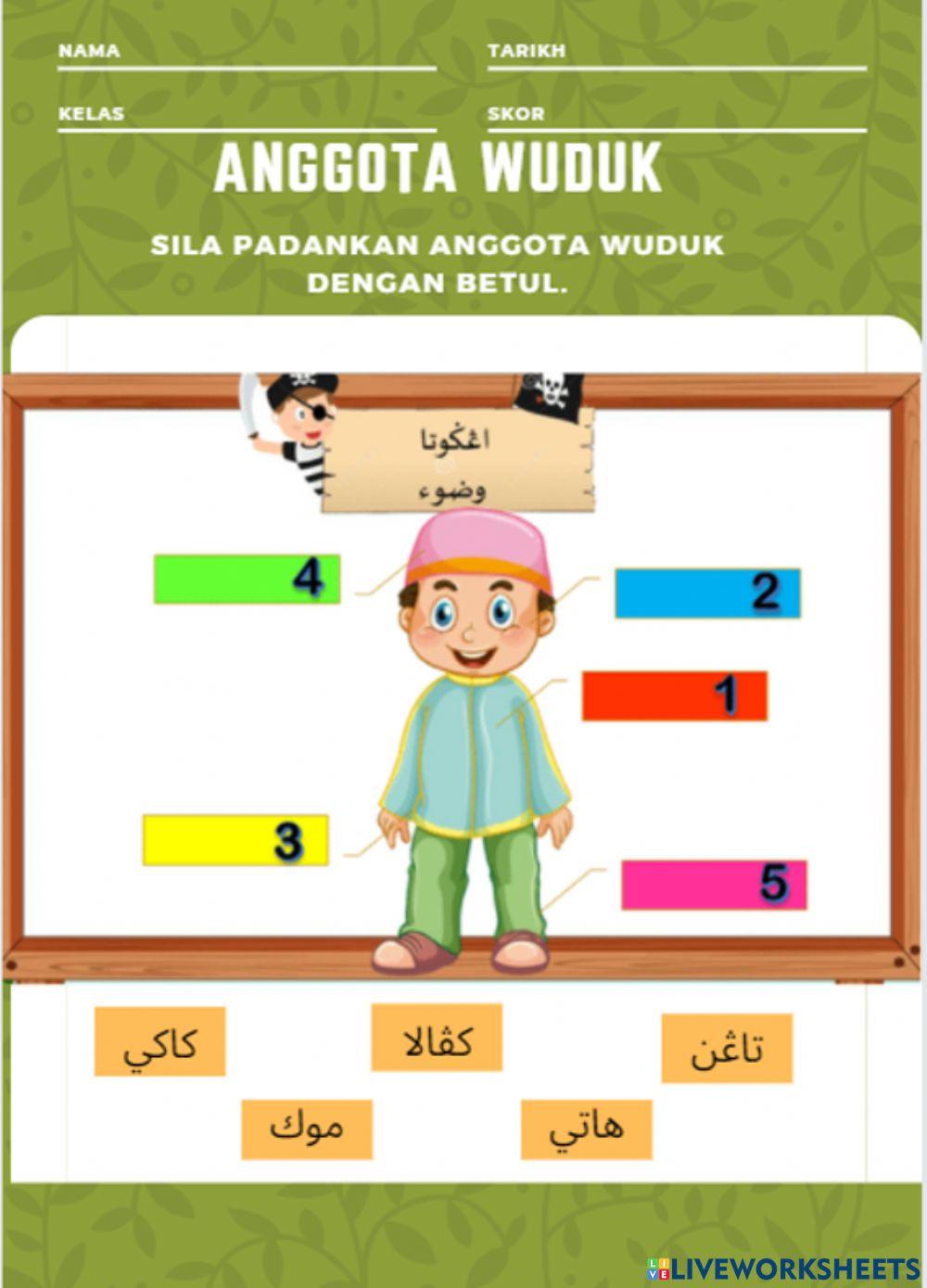 ANGGOTA WUDUK | LiveWorksheets | 1756776