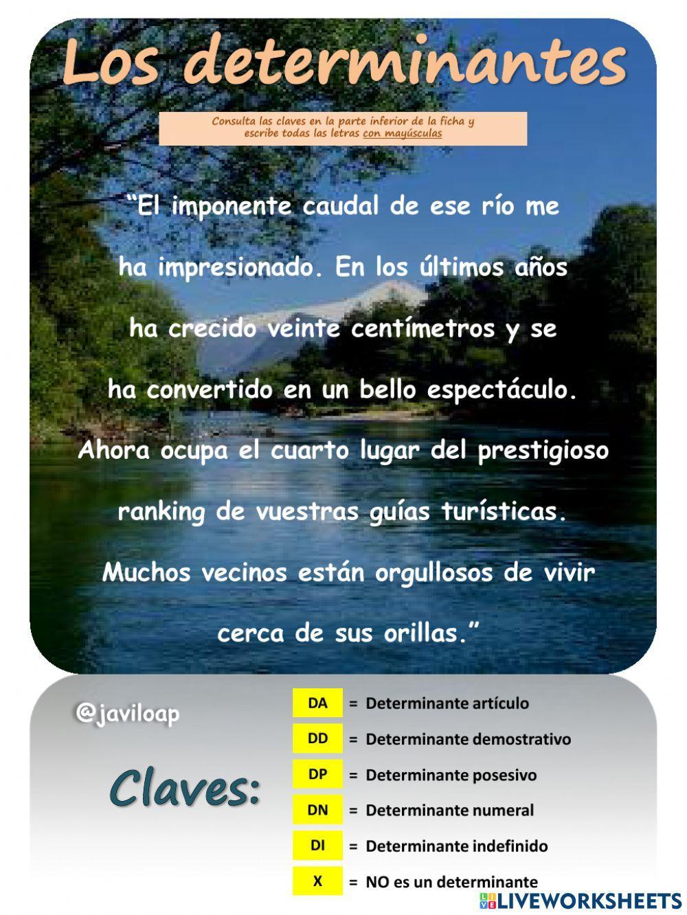 DETERMINANTES: Identificar y clasificar javiloap worksheet | Live ...