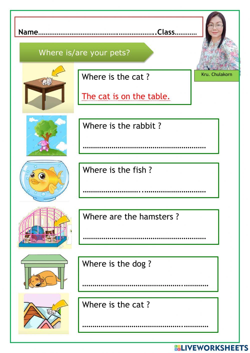 Where is my pet | Chulakorn Yoonan | Live Worksheets