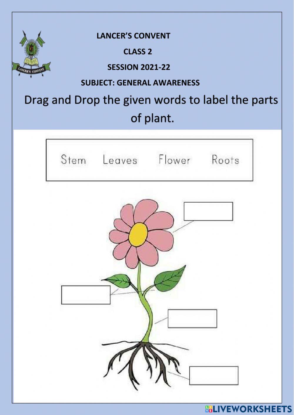 General awareness interactive activity | Live Worksheets