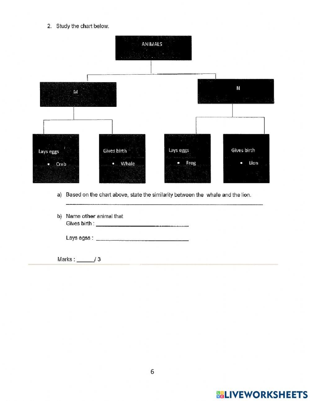 SCIENCE YEAR 5 3967624 | sushi333 | Live Worksheets