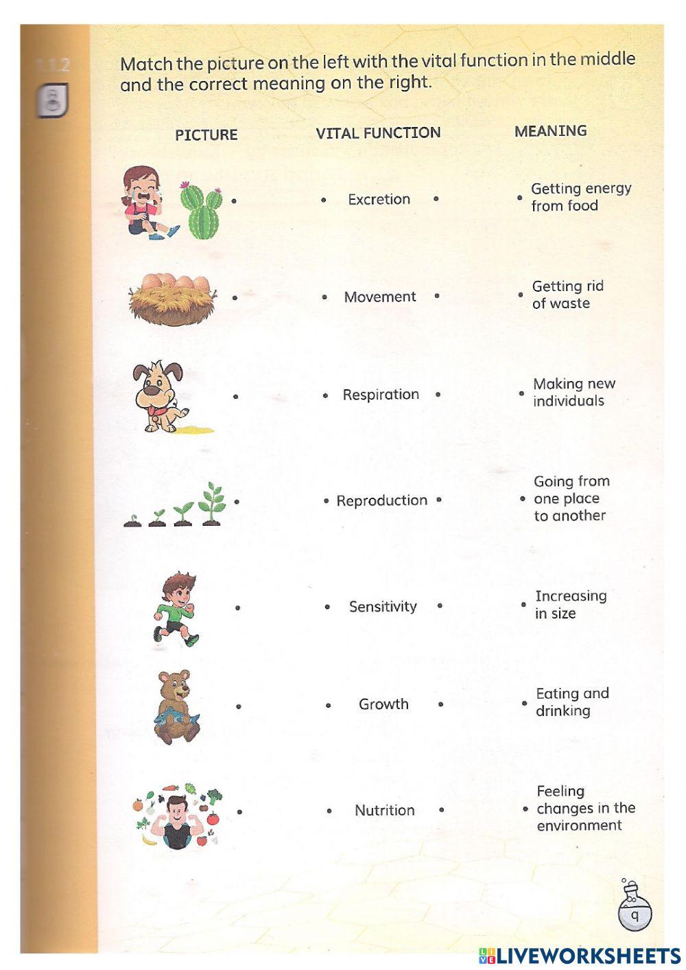 Science workshe… | Free Interactive Worksheets | 5321927