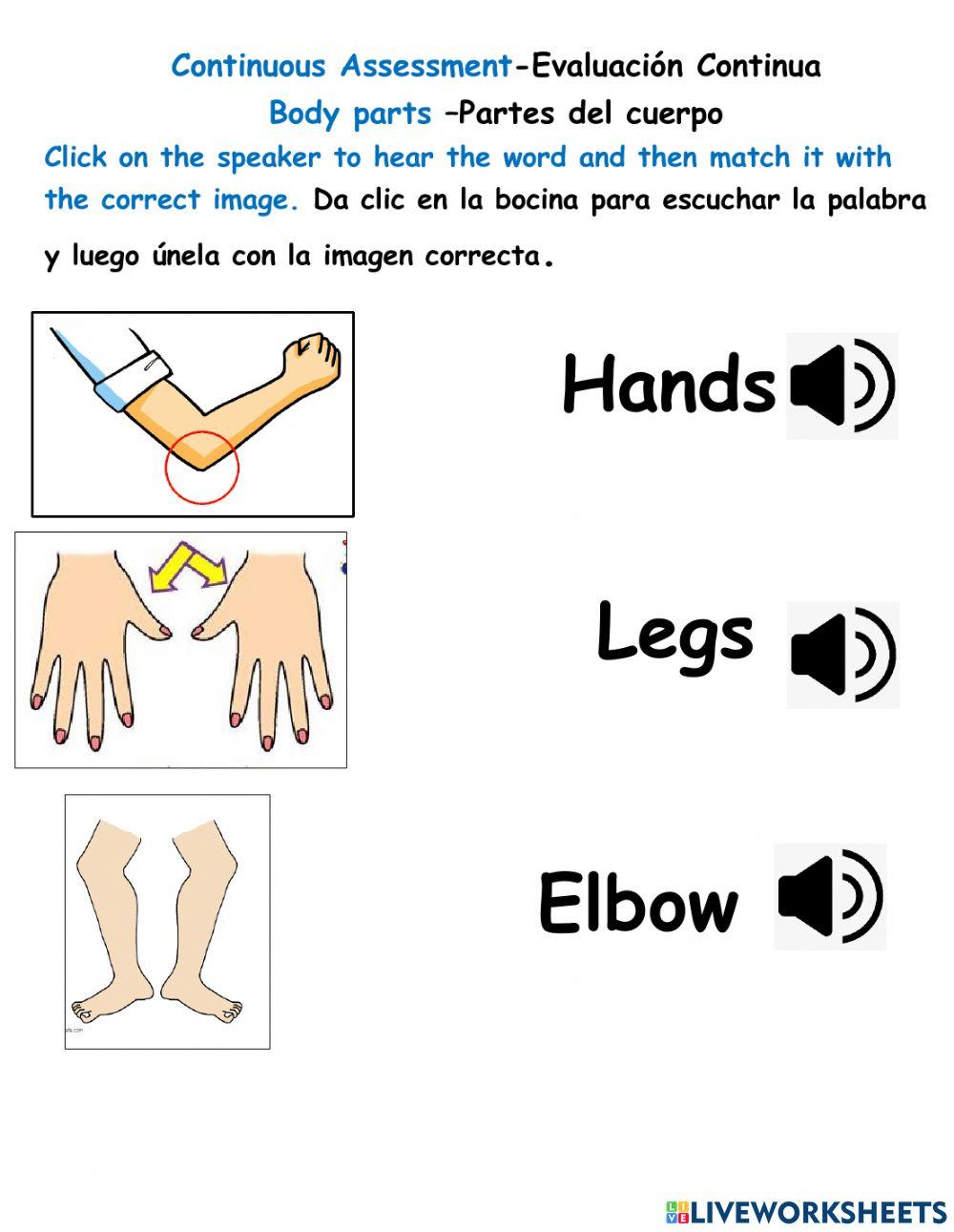 Body parts online exercise for 1st and 2nd | Live Worksheets