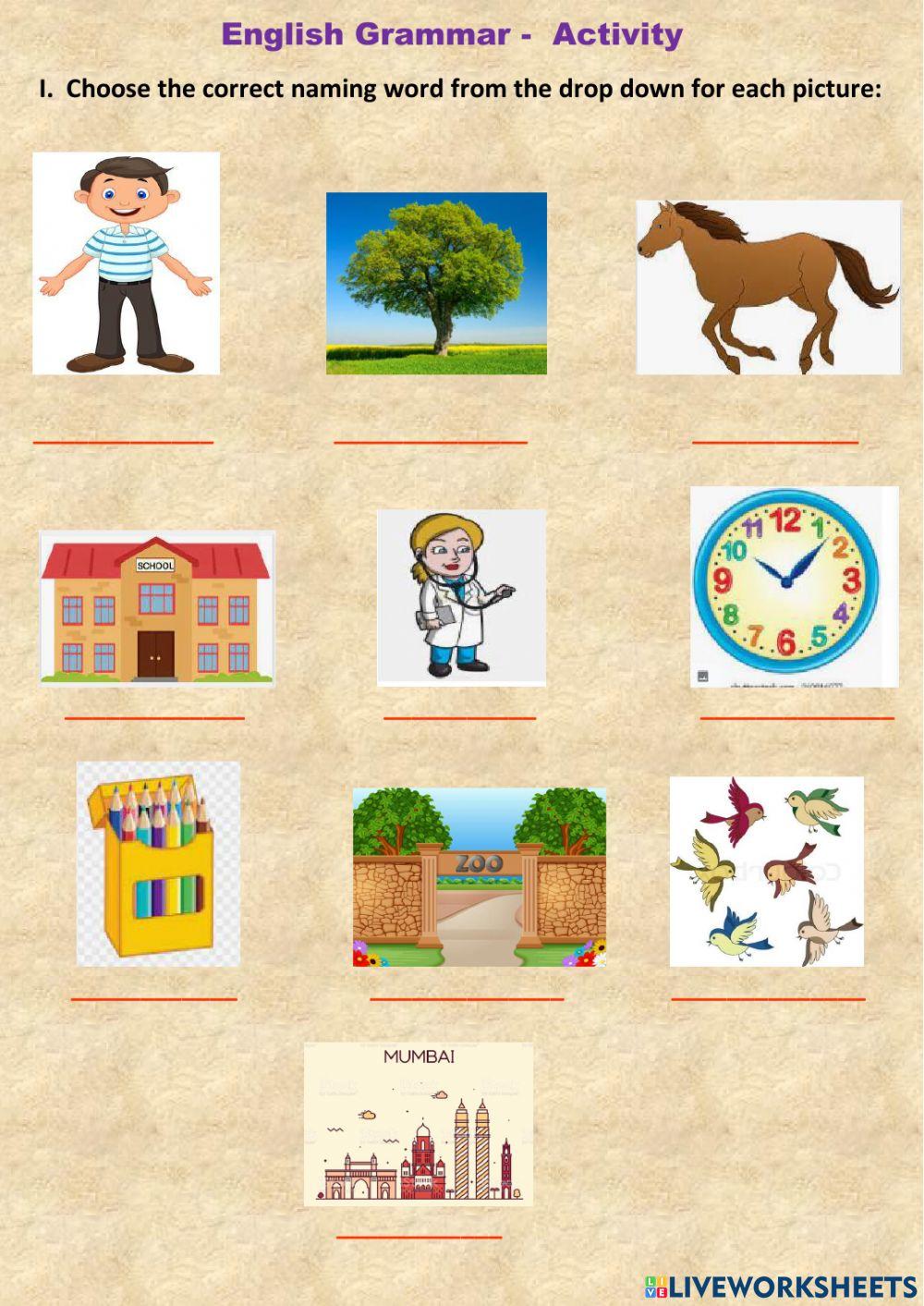 English Grammar - Naming Words online exercise for | Live Worksheets