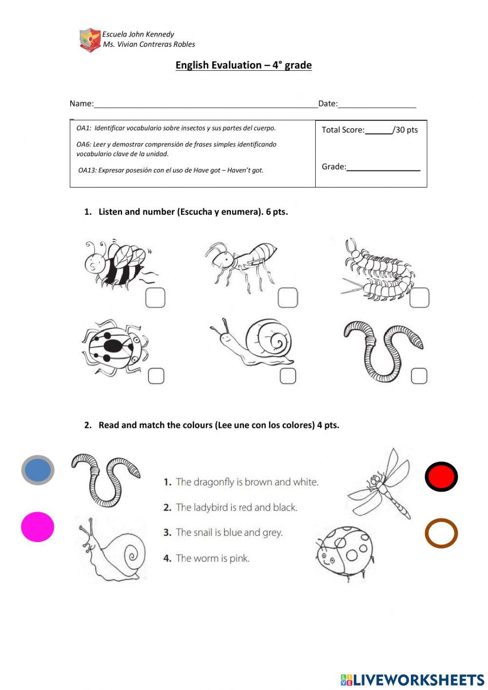 Minibeasts | Vivian Contreras Robles | Live Worksheets