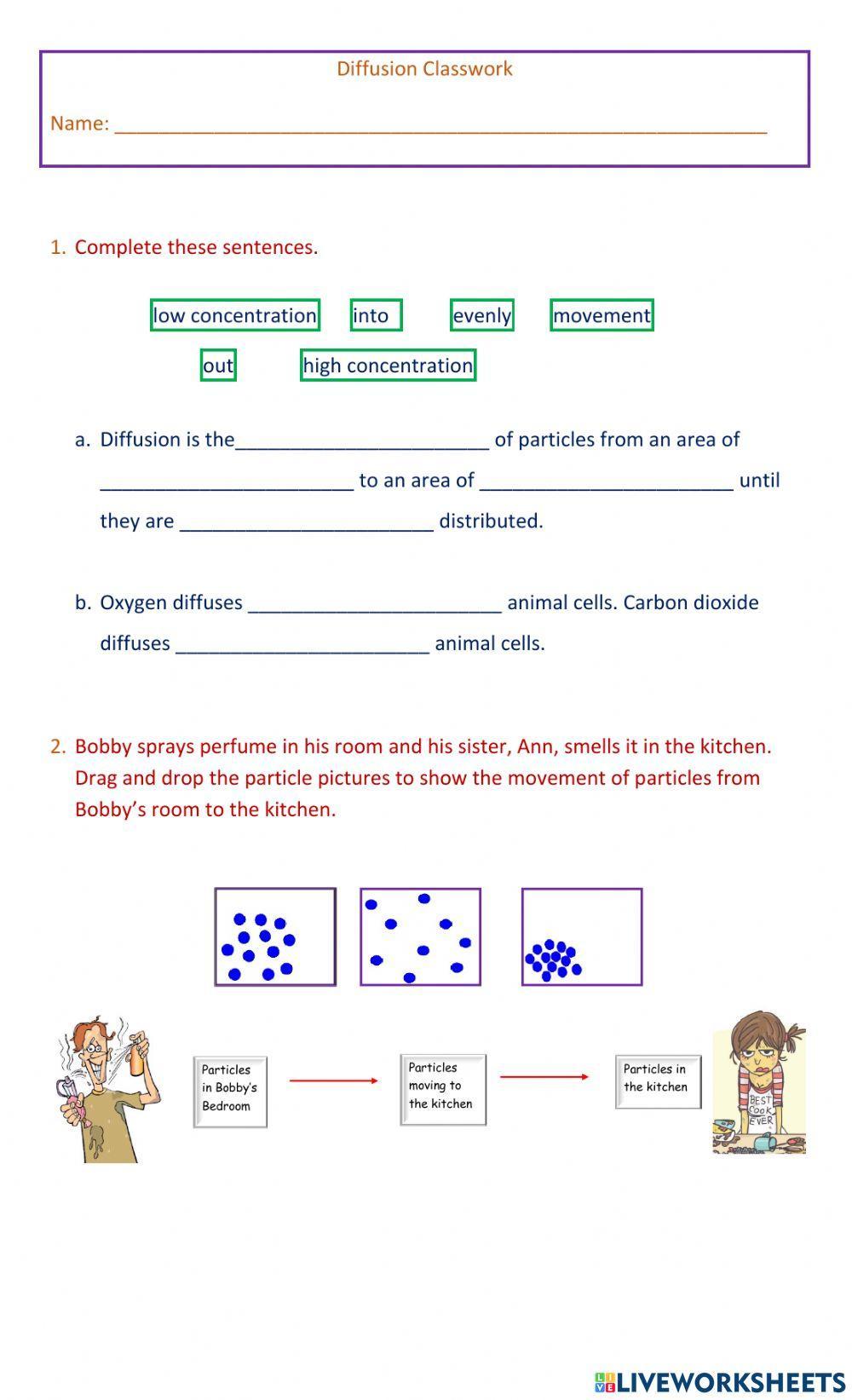 Diffusion | Free Interactive Worksheets | 1705519