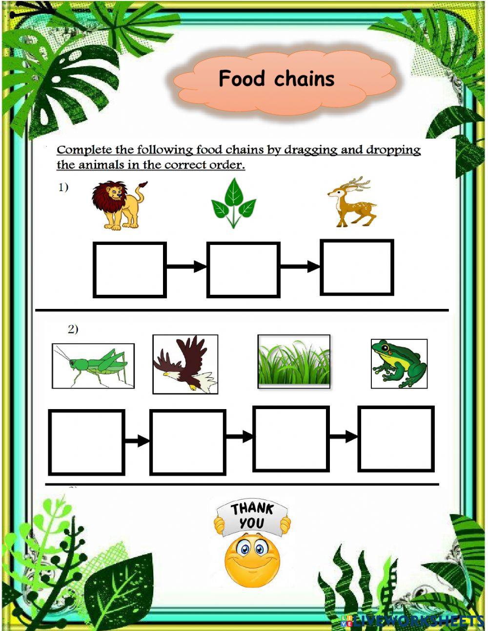 Food chains online exercise for | Live Worksheets