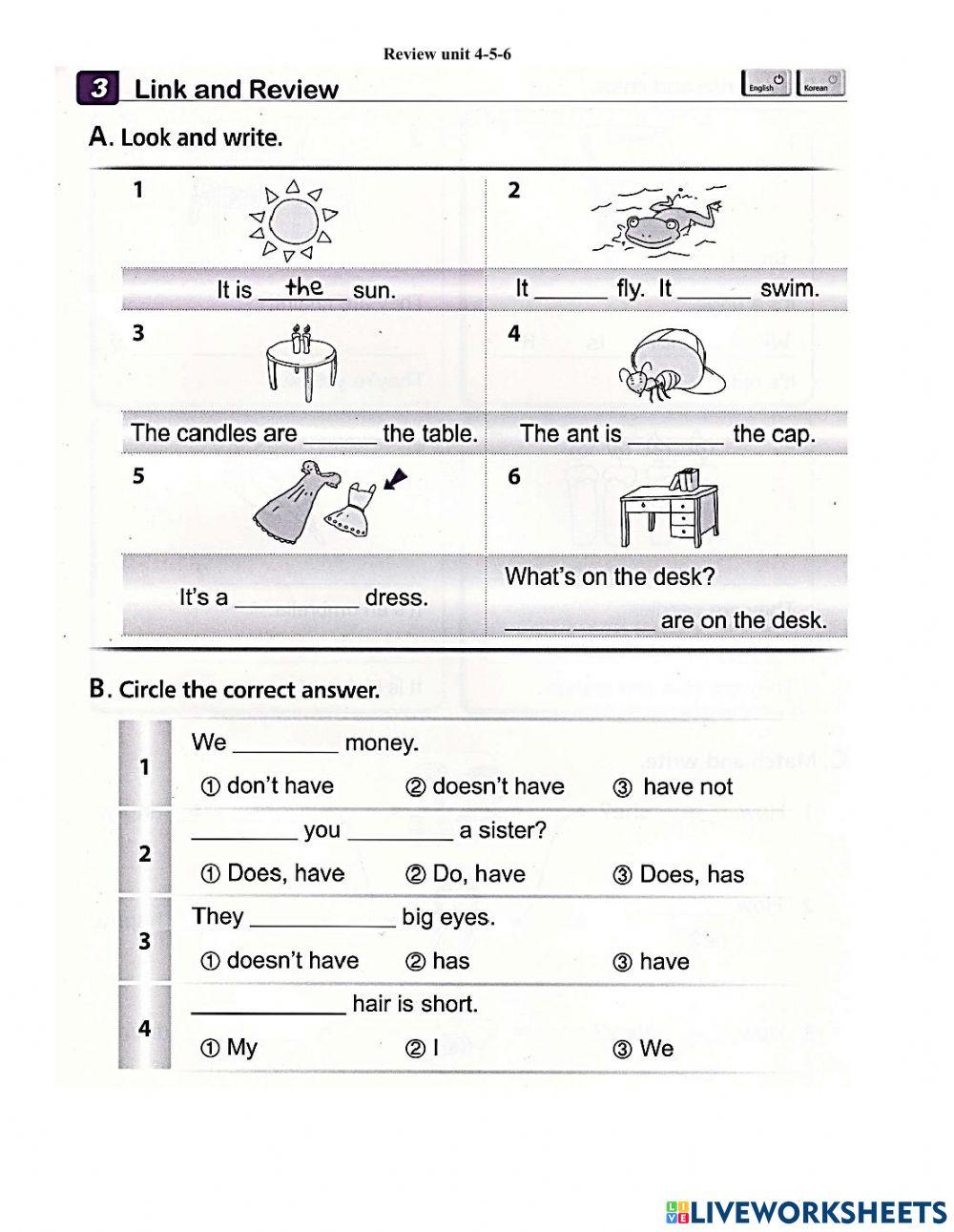 My first Grammar interactive worksheet | Live Worksheets