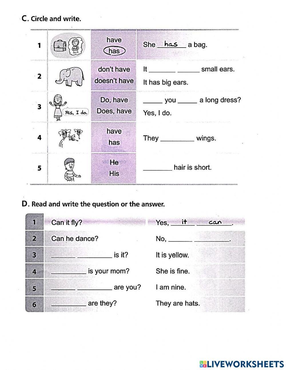My first Grammar interactive worksheet | Live Worksheets